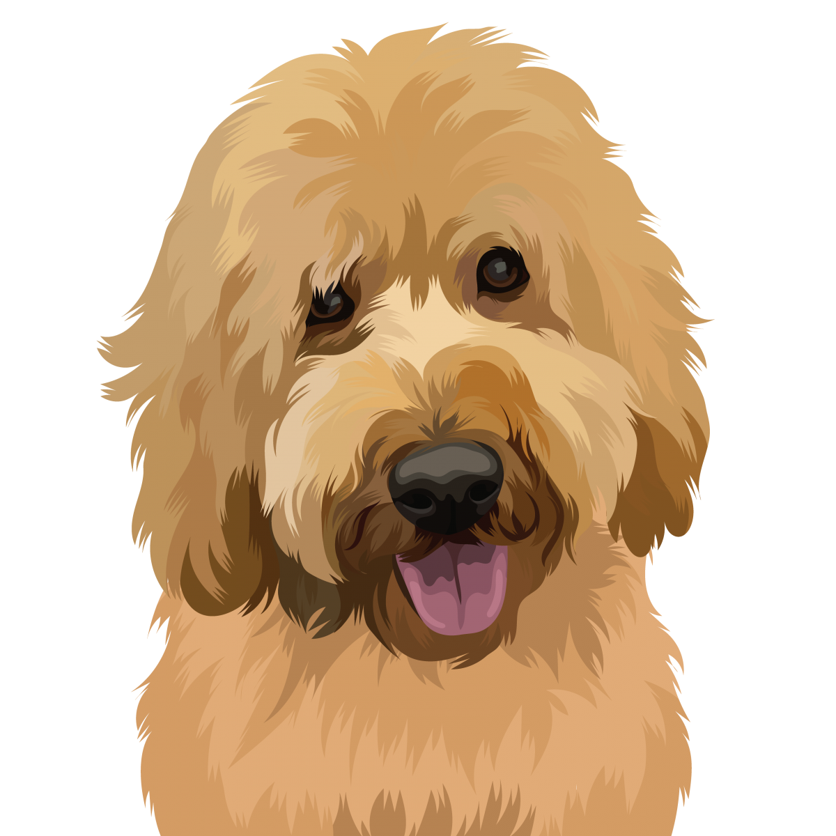 Big Heads - Signs by SI